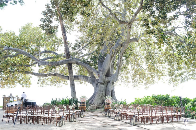 Ceremony Décor Photos - Banyan Tree Wedding Ceremony - Inside Weddings